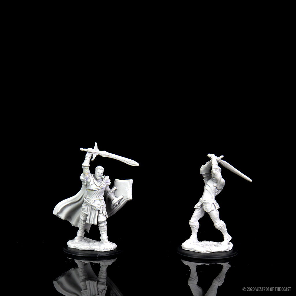 D&D Nolzur's Marvelous Miniatures - Male Human Paladin – WizKids