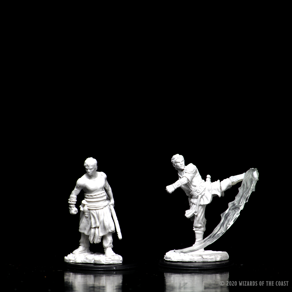 D&D Nolzur's Marvelous Miniatures - Male Half-Elf Monk – WizKids