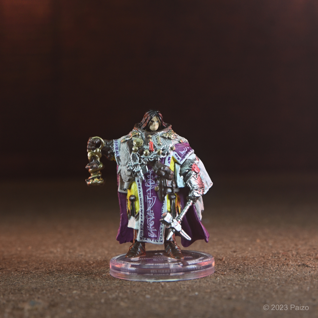 Pathfinder Battles: Iconic Heroes XI Boxed Set – WizKids