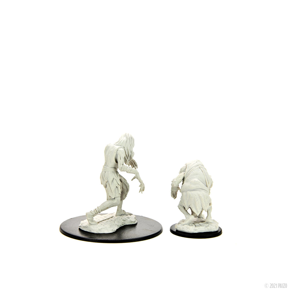 Pathfinder Deep Cuts: Annis Hag & Green Hag – WizKids