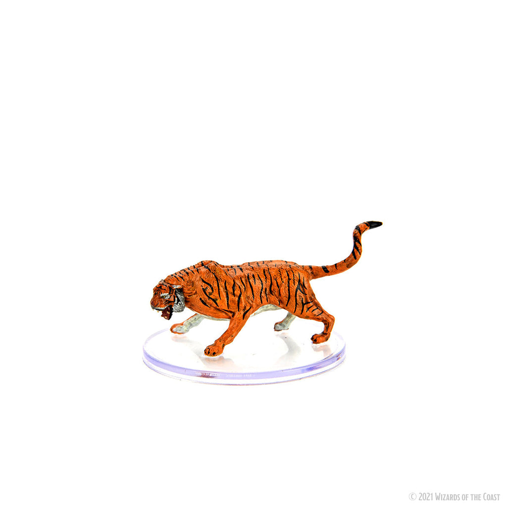 D&D Icons of the Realms: Wild Shape & Polymorph Set 1 – WizKids