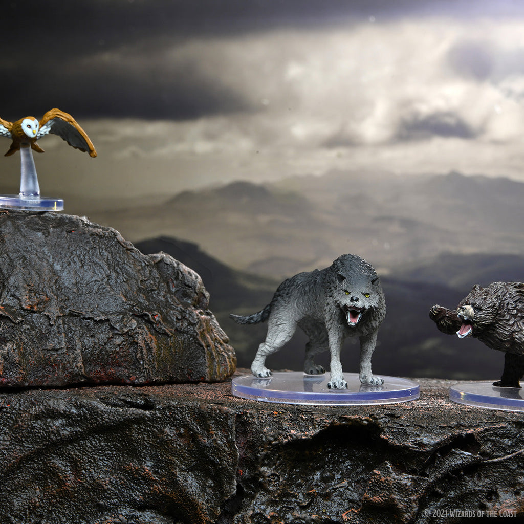 D&D Icons of the Realms: Wild Shape & Polymorph Set 2 – WizKids