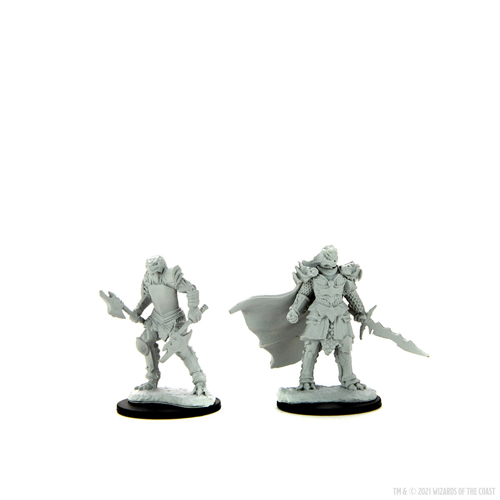 D&D Nolzur's Marvelous Miniatures: Dragonborn Fighter Female – WizKids