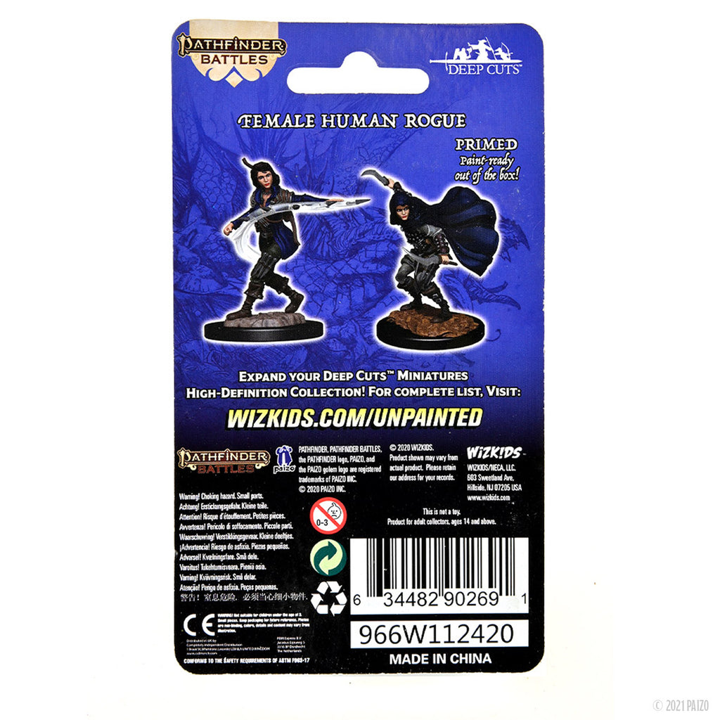 Pathfinder Deep Cuts: Human Rogue Female – WizKids