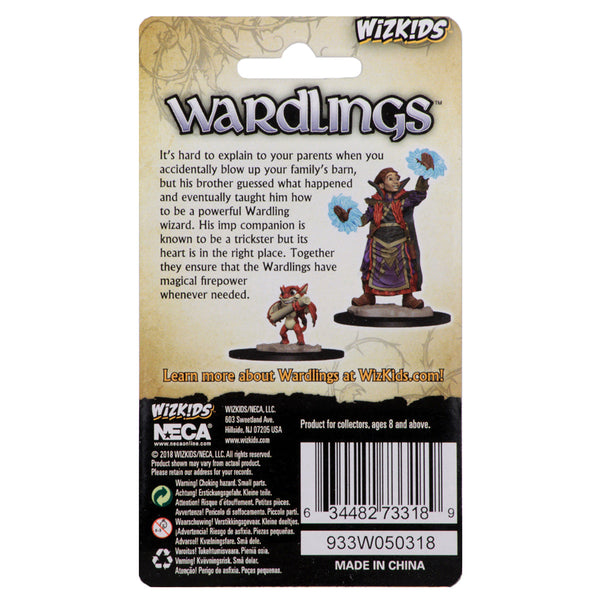 WizKids Wardlings RPG Figures: Boy Wizard & Imp