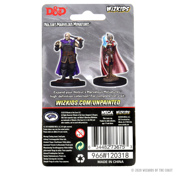 D&D Nolzur's Marvelous Miniatures - Human Ranger & Moon Elf Sorcerer ...