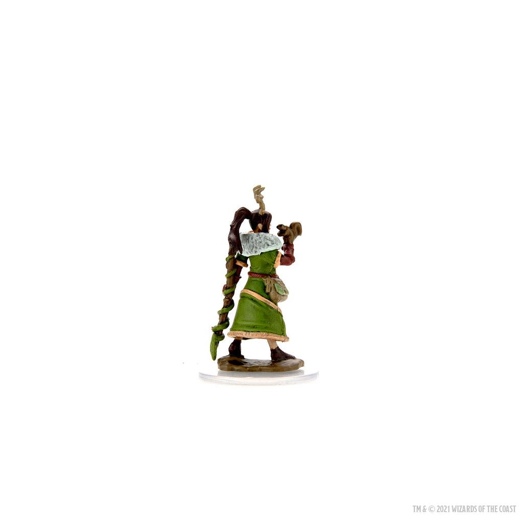 D&D Icons of the Realms Premium Figures: Female Human Druid – WizKids