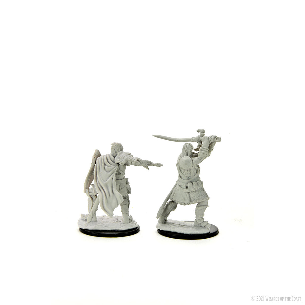 D&D Nolzur's Marvelous Miniatures: Human Paladin Male – WizKids