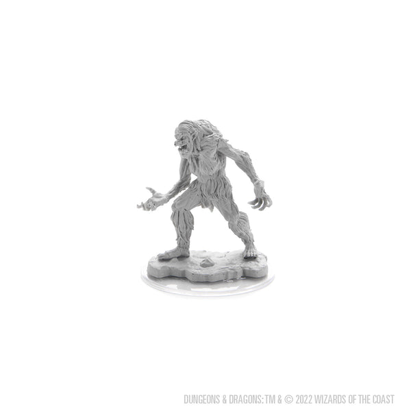 D&D Nolzur's Marvelous Miniatures: Ice Troll Female – WizKids