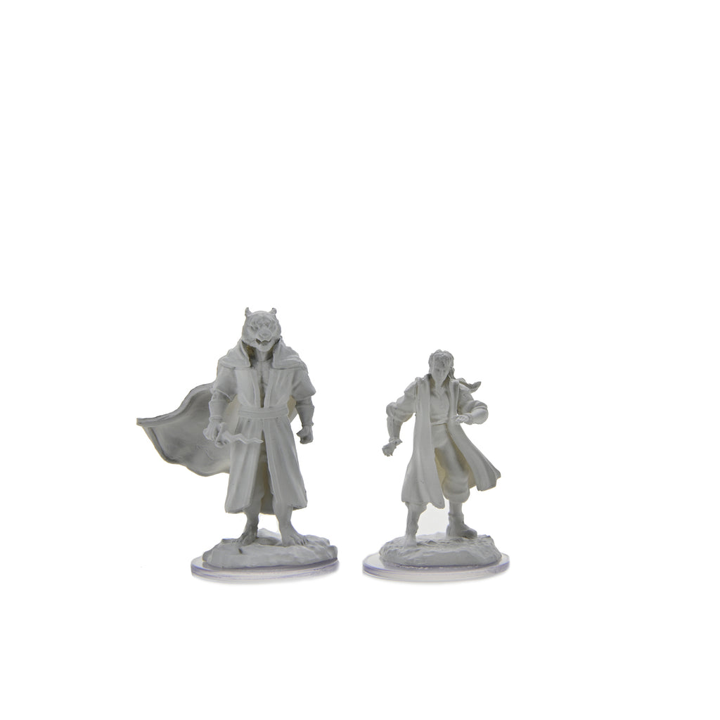 Critical Role Unpainted Miniatures: Male Human Sorcerer Merchant & Tig ...