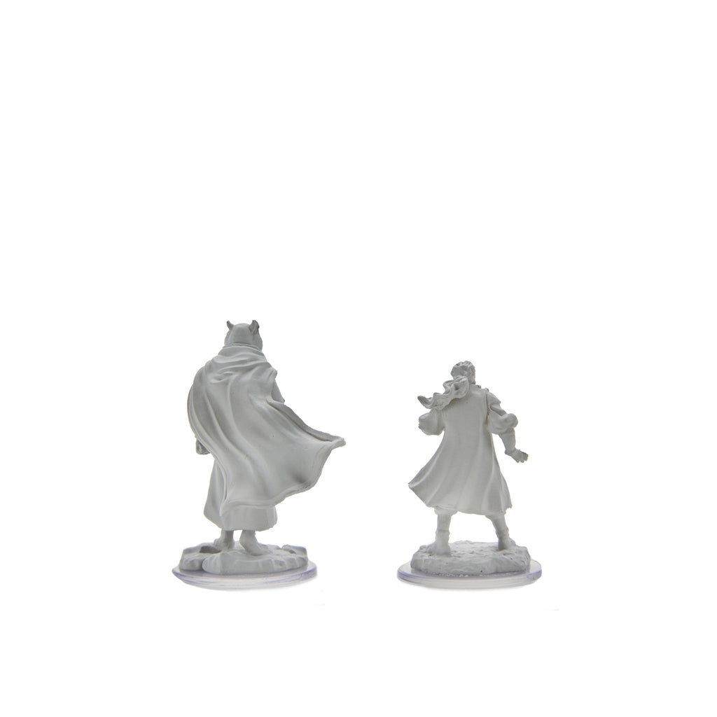 Critical Role Unpainted Miniatures: Male Human Sorcerer Merchant & Tig ...
