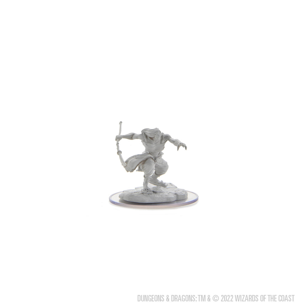 D&D Nolzur's Marvelous Miniatures: Oni Female – WizKids
