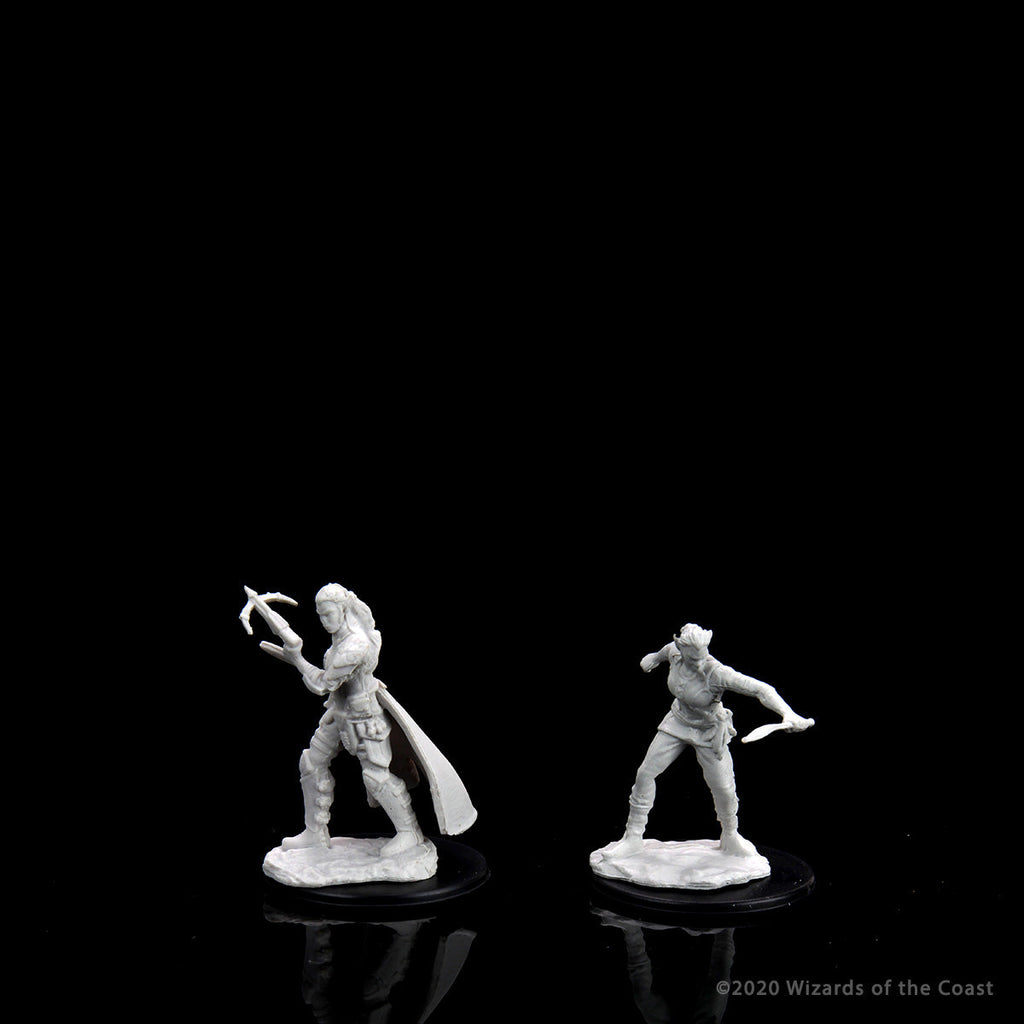 D&D Nolzur's Marvelous Miniatures: Shifter Rogue Female – WizKids