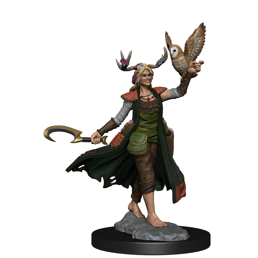 D&D Frameworks: Human Druid Female - Unpainted and Unassembled – WizKids